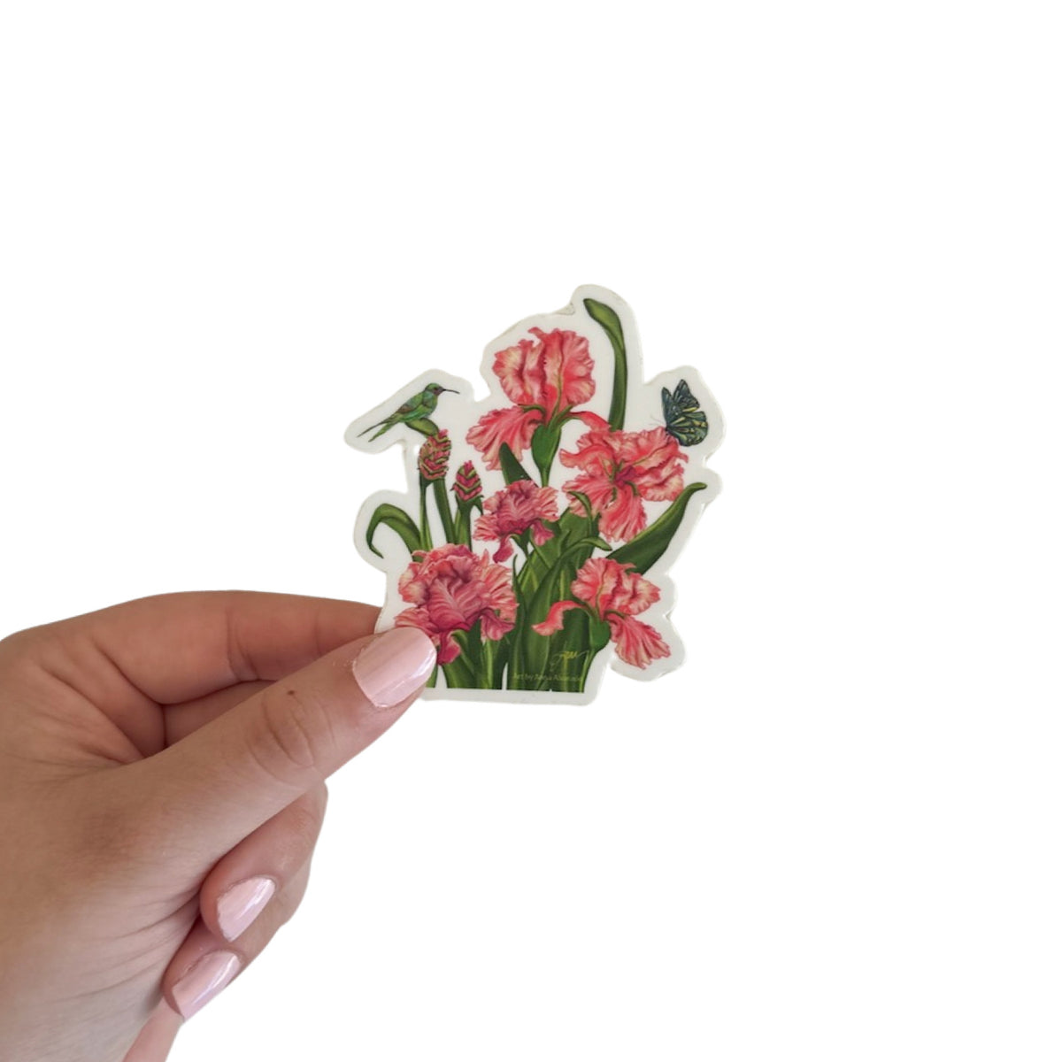 Delicate and Divine | Sticker– Art by Anna Alvarado
